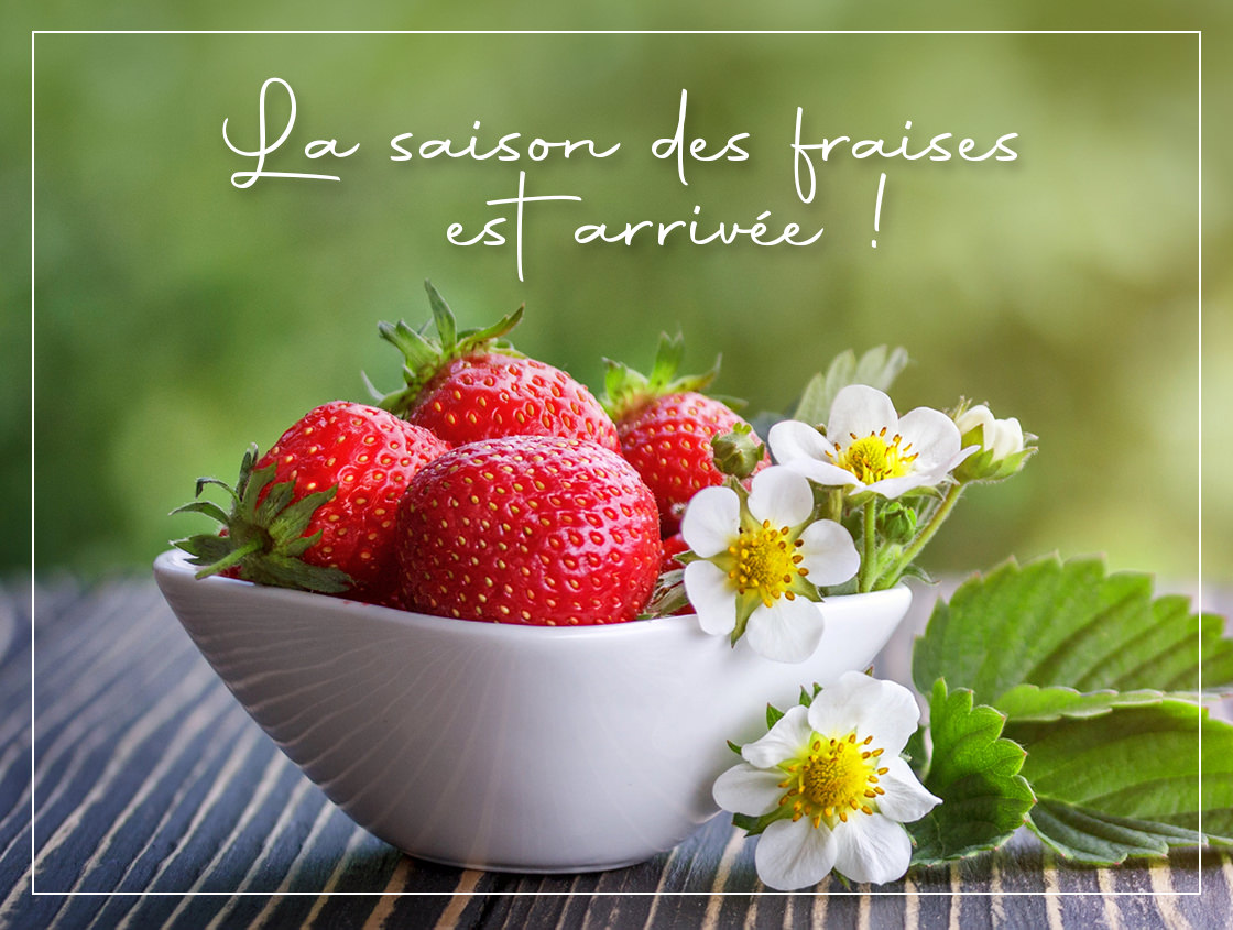 La saison des fraises est arrivée