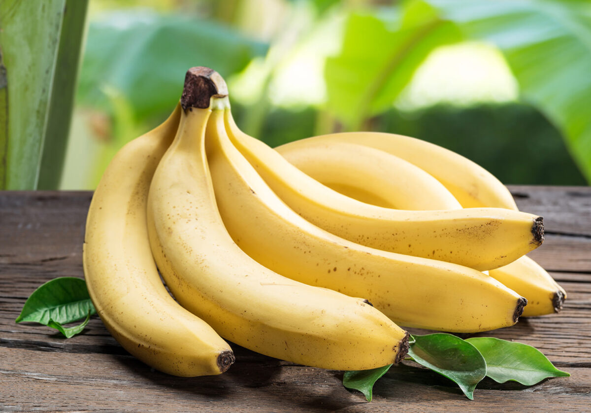 Bananas Are A Fruit Bananas Are A Fruit